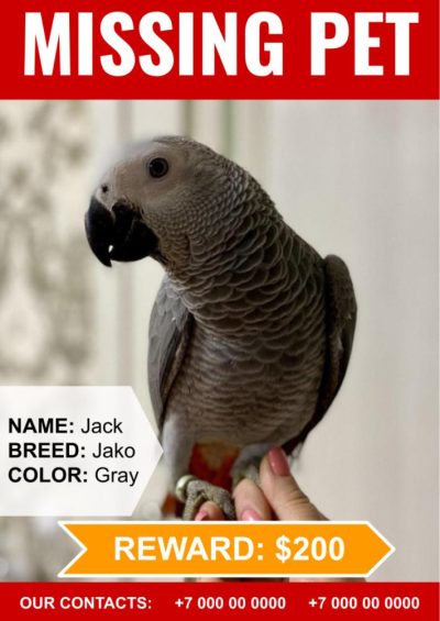 11 Free Missing Poster Templates for Google Docs – Docs&Slides